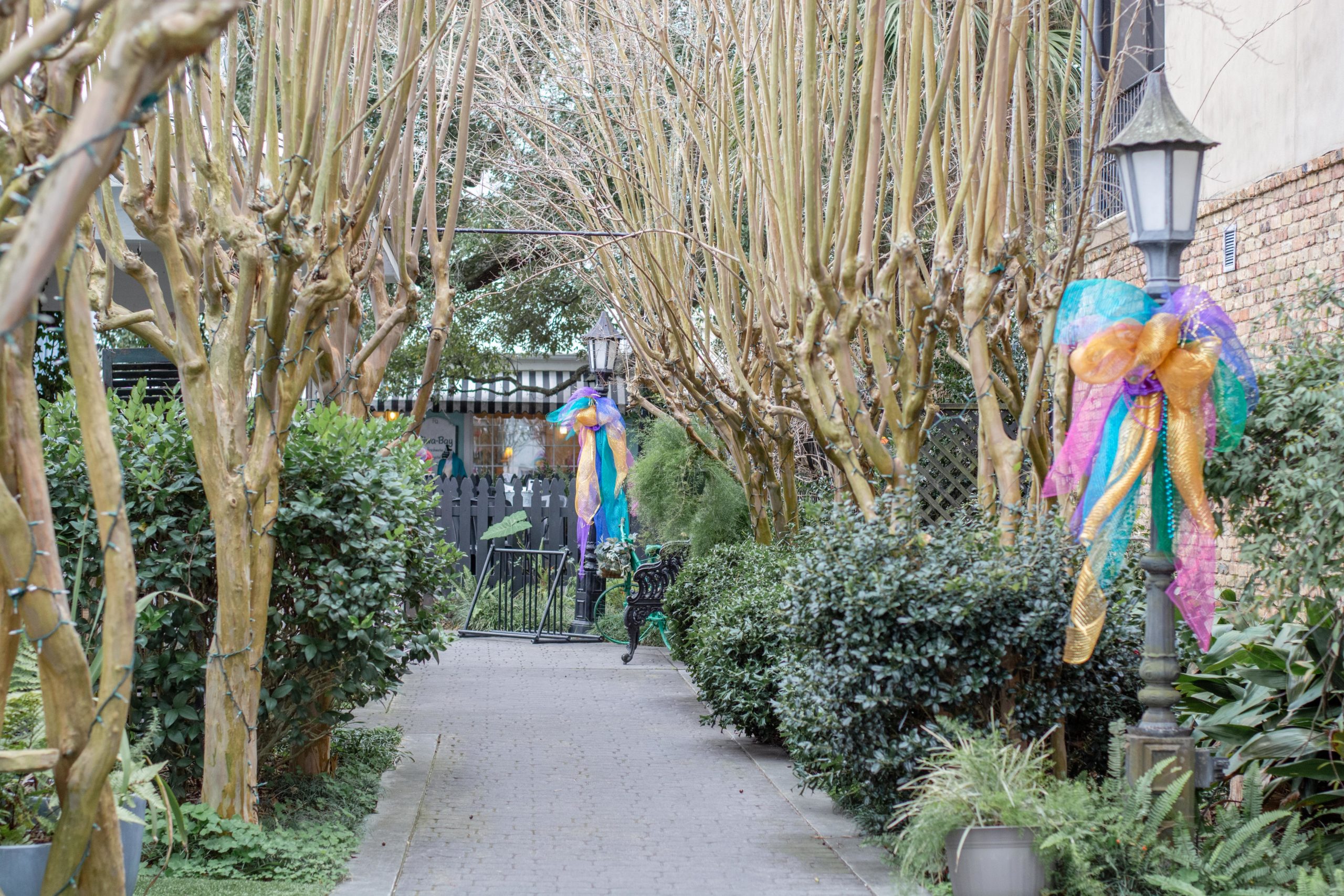 Activities and Events in Fairhope, Alabama | Fairhope Travel Guide