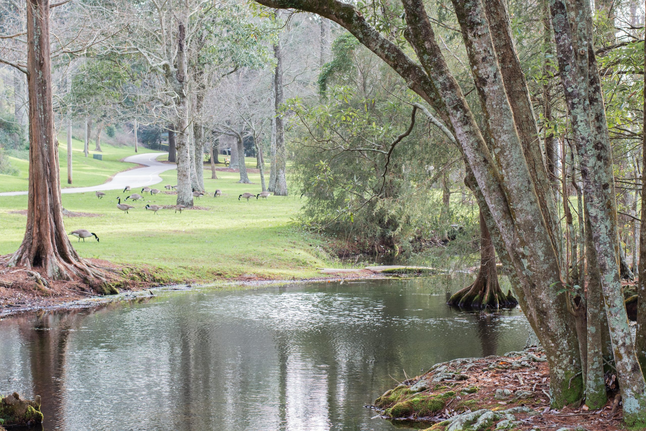 Fairhope North Beach Park | Fairhoope, AL | Fairhope Travel Guide