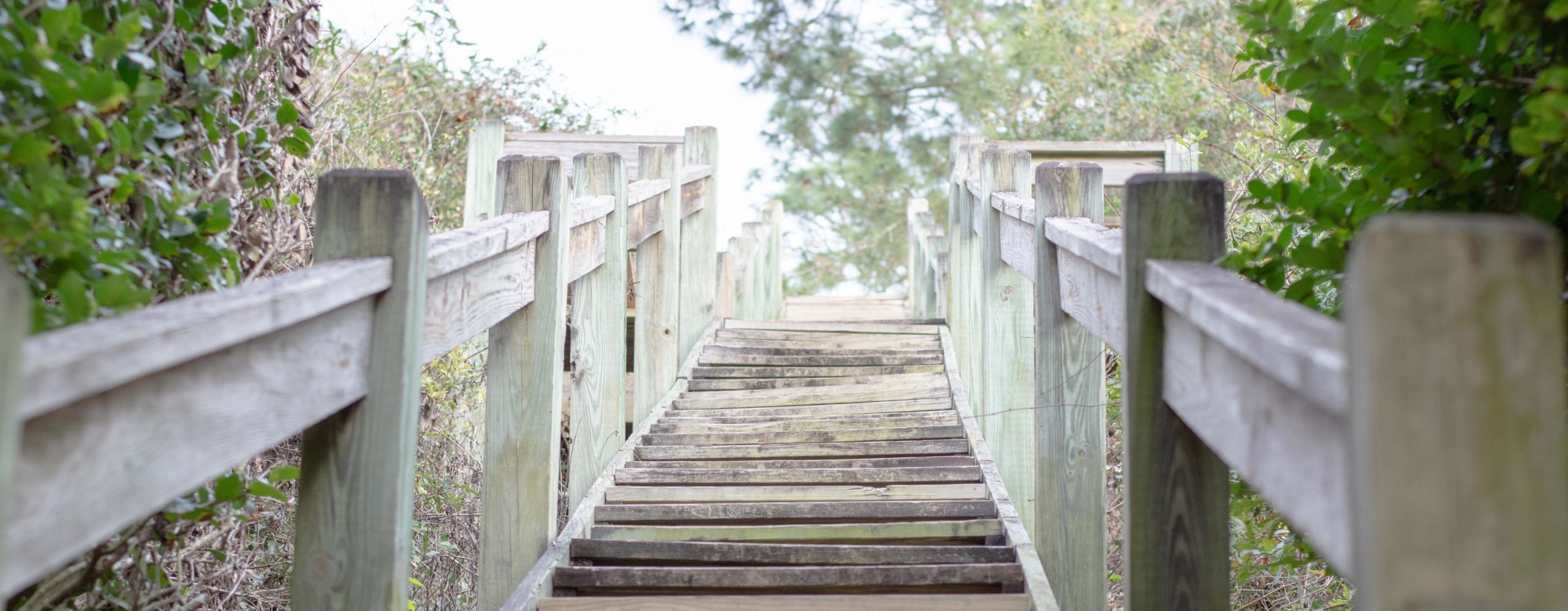 Attractions and Adventure | Fairhope Visitors Guide